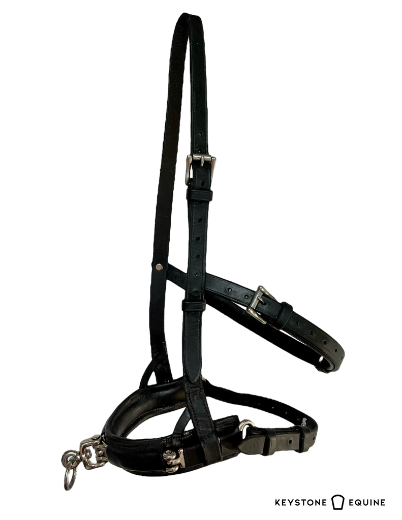 The ULTIMATE CAVESSON™ – Cattle Cait