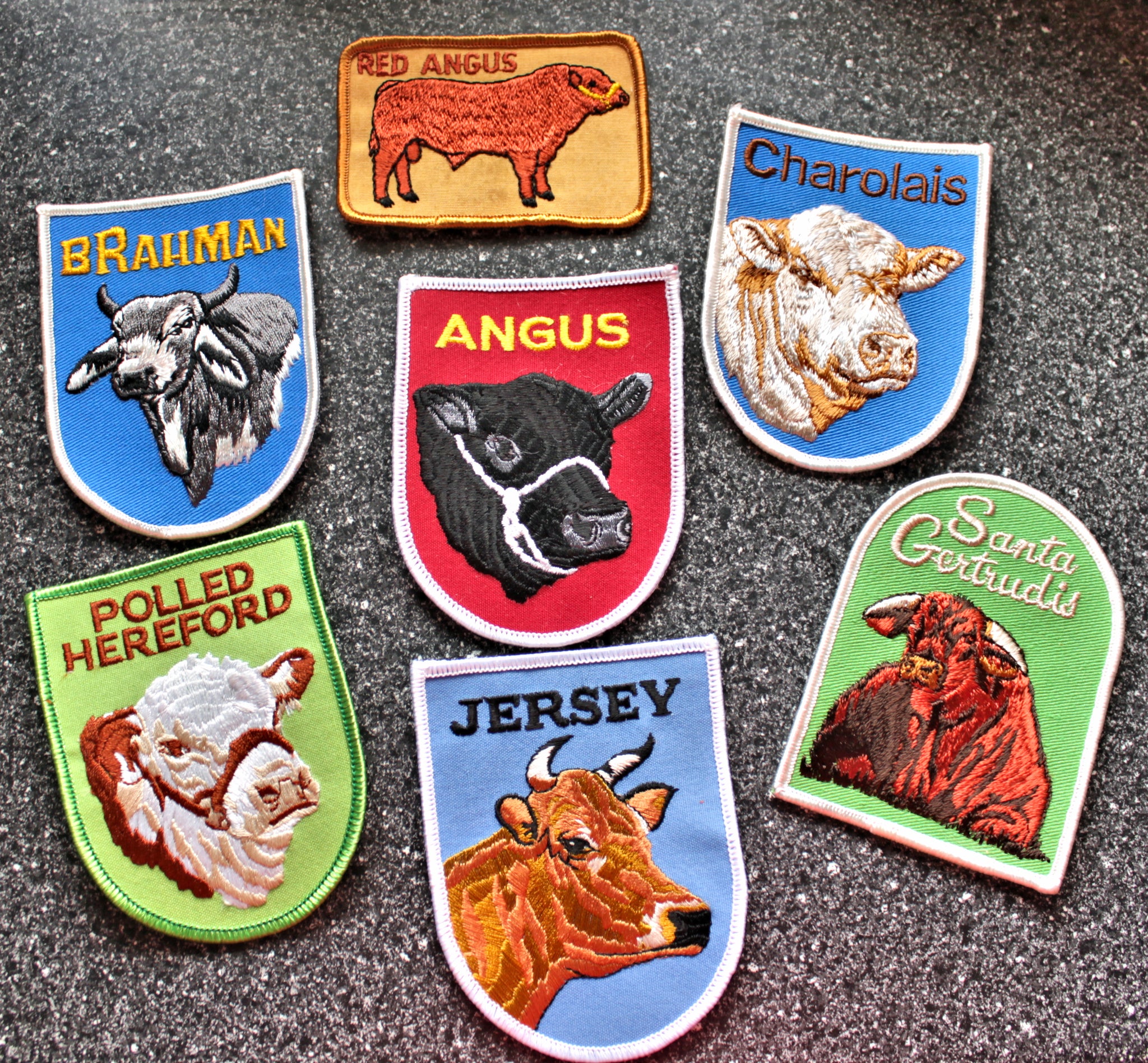 1970's DEADSTOCK Embroidered Cattle & Horse Patches – Cattle Cait